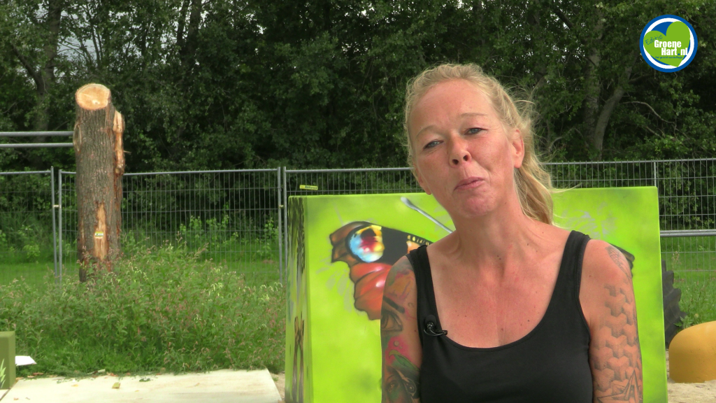 Renske Koster realiseert streetart in Reeuwijkse Hout - EDGH