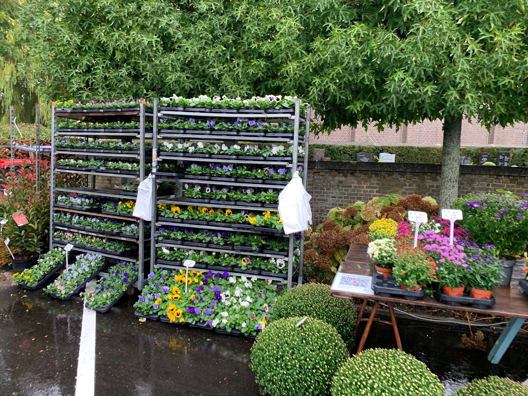Lokaal genieten op Sluipwijkse streekmarkt - EDGH